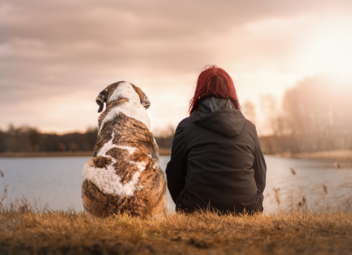 Legal Update: South Carolina Amends Rule 26 to Enhance Attorney-Expert ...