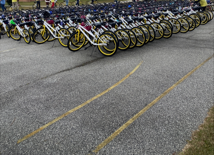 Grounds for Contesting and Challenging Wills in South Carolina - Rosen ...