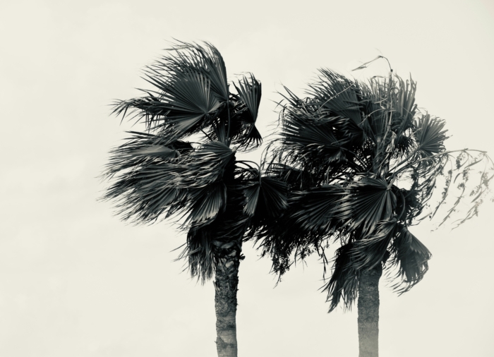 What is the Statute of Repose in South Carolina? - Rosen Hagood